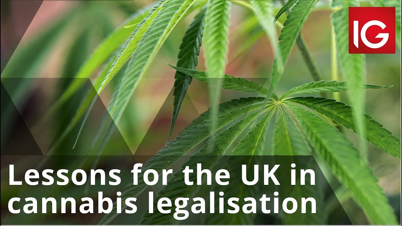 What Could The UK Learn From The Legalisation Of Cannabis In Canada what-could-the-uk-learn-from-the-legalisation-of-cannabis-in-canada